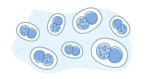 Bacterial STDs | Priority STD Testing